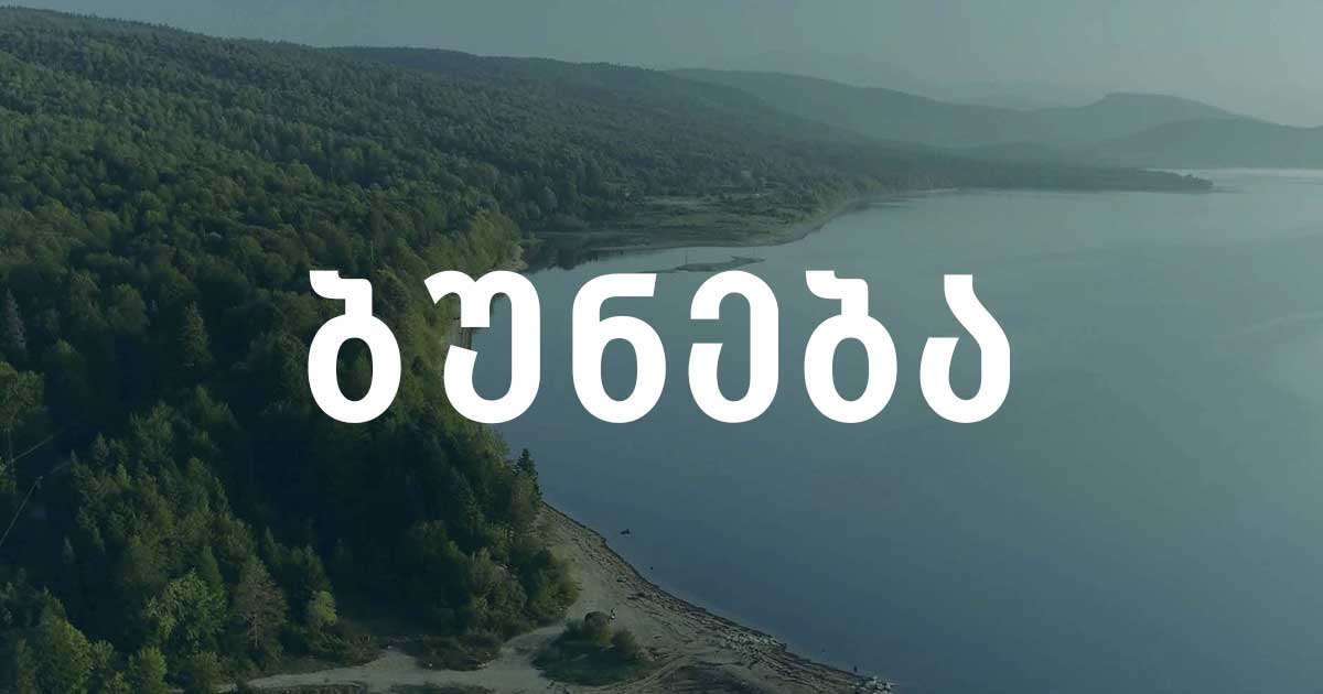 ბუნება - StockFootage